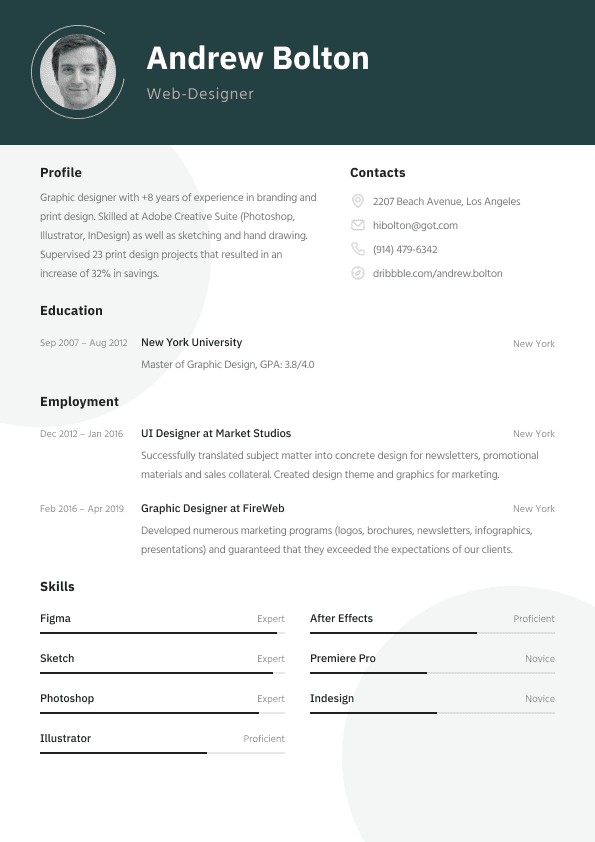 Professional CV templates and examples | CVwisely